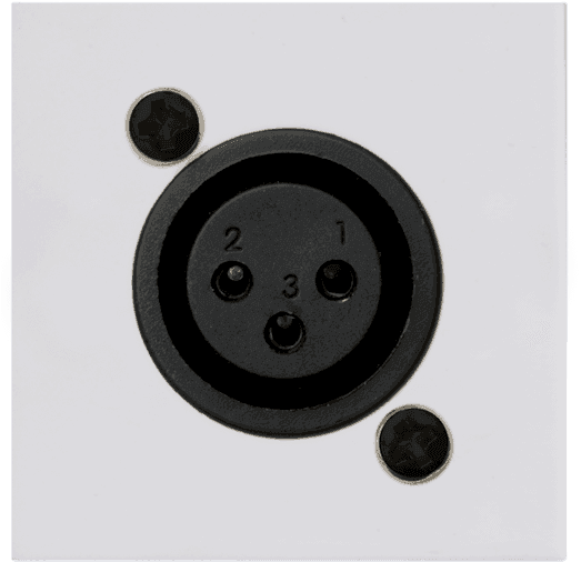 AUDAC CP45XLFS/W | Connectiques - SONOLOGY Toulouse